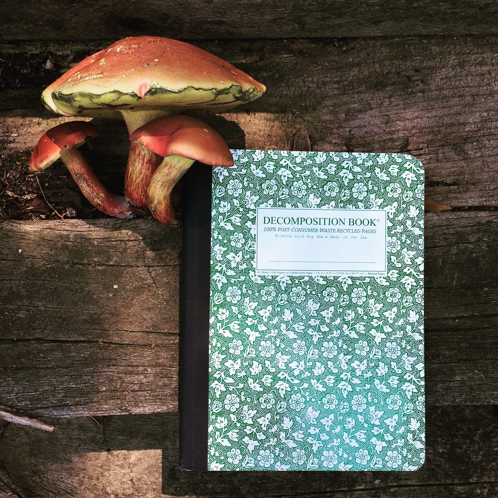 Decomposition Book- Parsley – Pink Moon