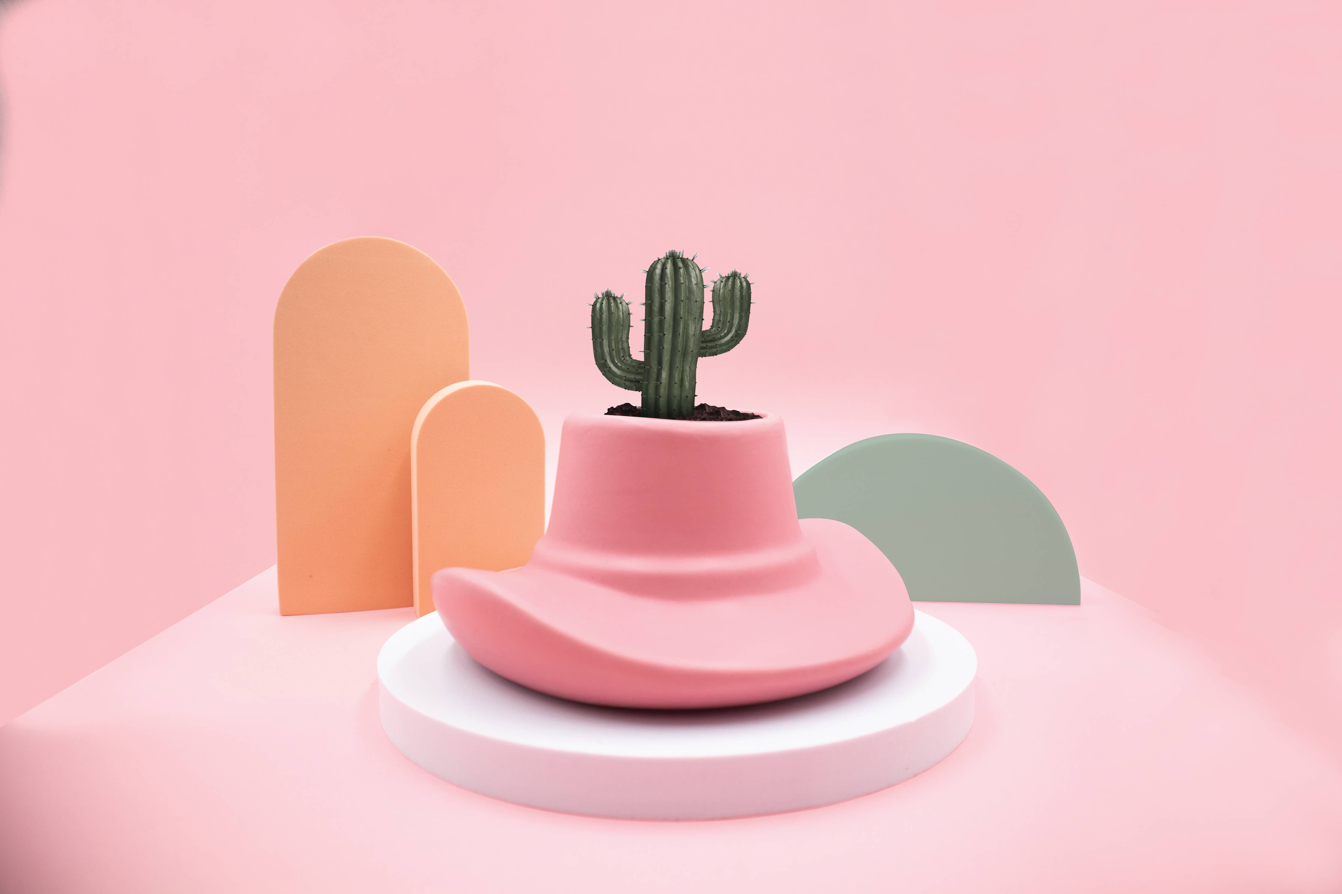 Western Cowboy Planter – Pink Moon